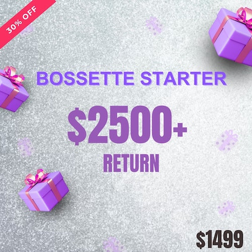 Bossette Starter – Bossette Hair